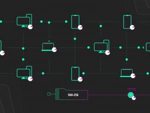 Solana: Qué es y cómo funciona su novedosa blockchain