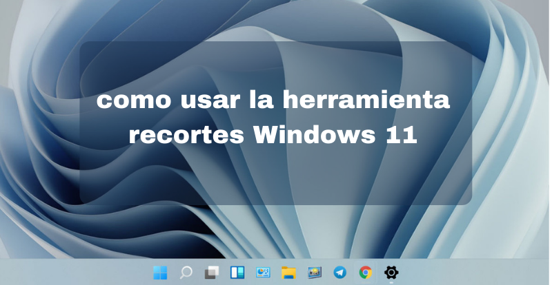 windows 11