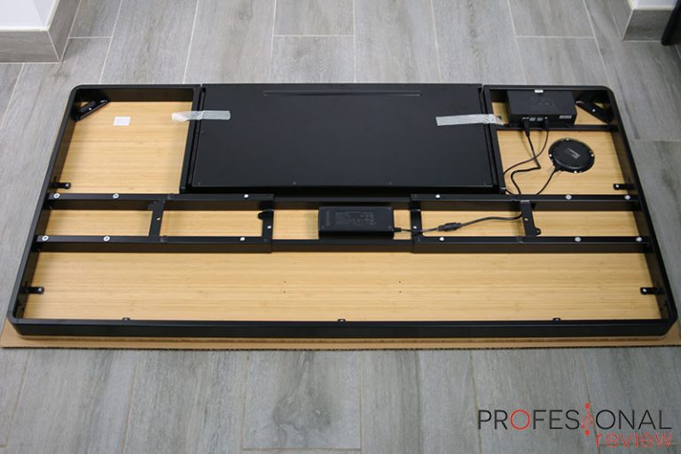 FlexiSpot Q8 Review en español (Análisis completo)