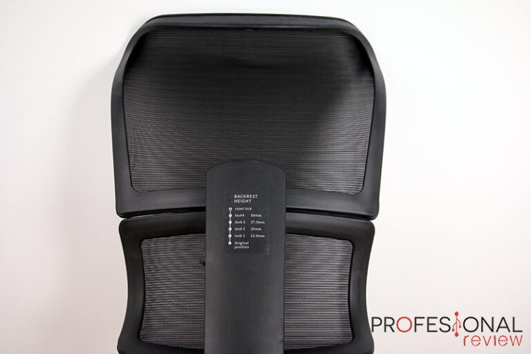 FlexiSpot BS8 Pro Review en Español (Análisis completo)
