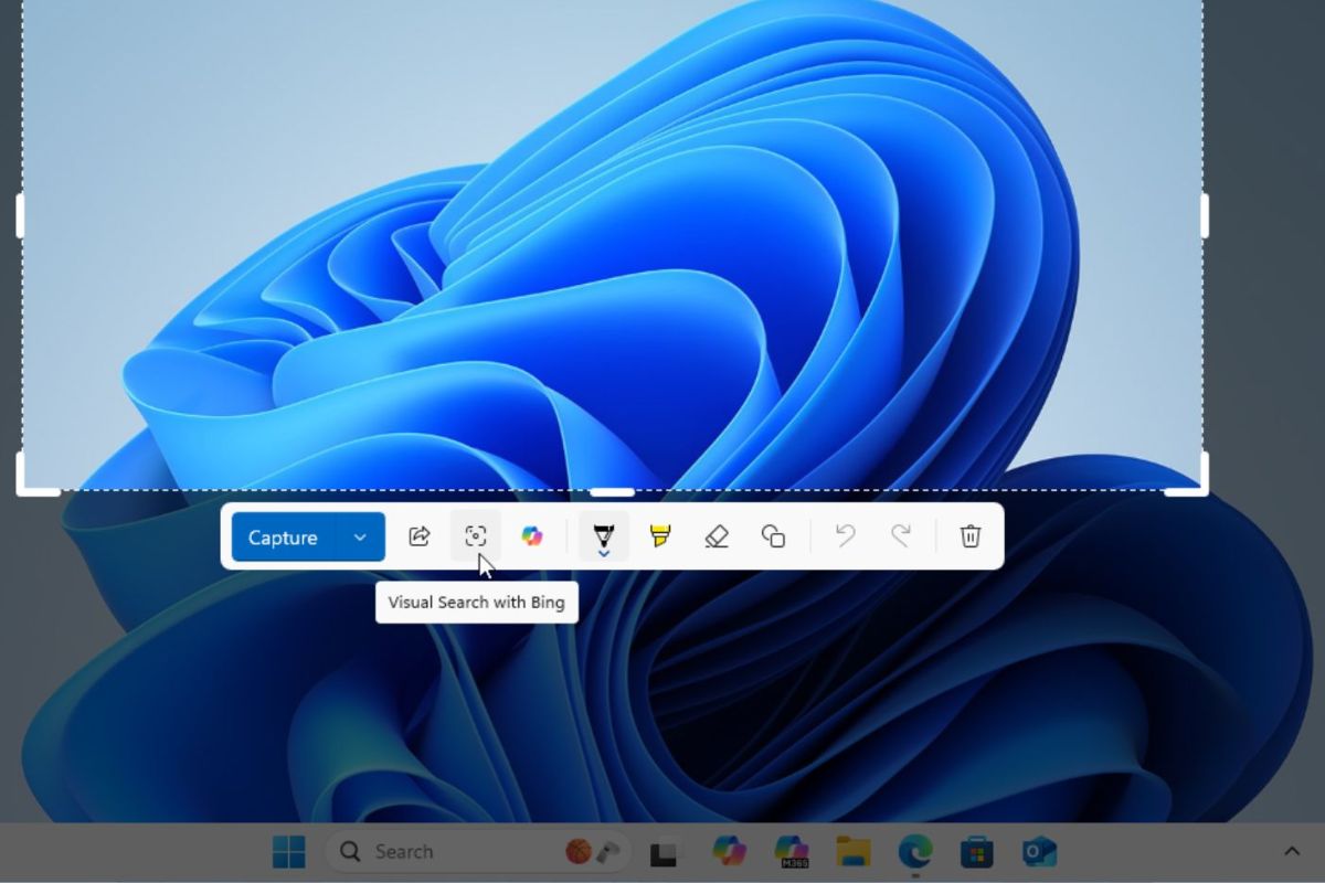 Recortes de Windows 11 acaba de recibir la búsqueda visual al estilo ...