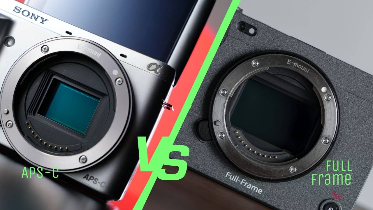 APS-C vs Full Frame en mirrorless: el duelo para principiantes